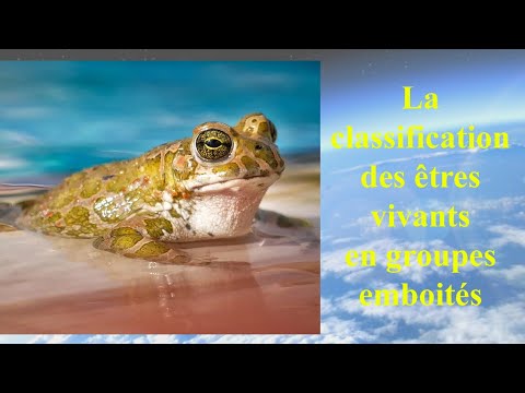 La classification des êtres vivants en groupes emboités | SFPDA